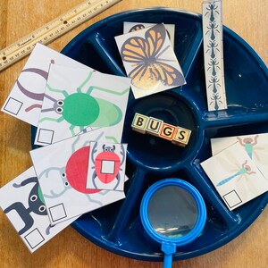 Measuring Bugs Activity, Insect Measuring Activity, Bugs Coloring Pages ...