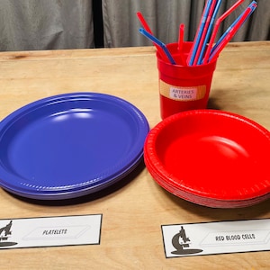 Doctor Party Banner, Doctor Party Signs and Food Labels, Pathology ...