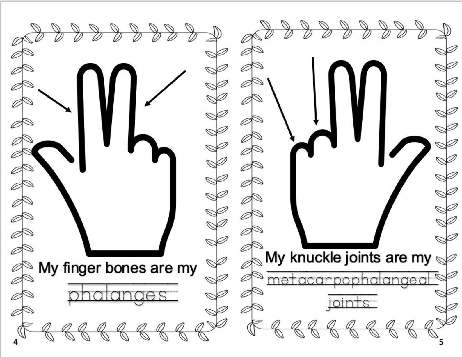 Anatomy hand Book for Kids to Color Trace and | Etsy