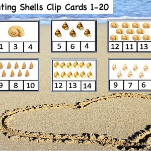 Counting Shells Clip Cards 1-20, Toddler Preschool Kindergarten Math ...