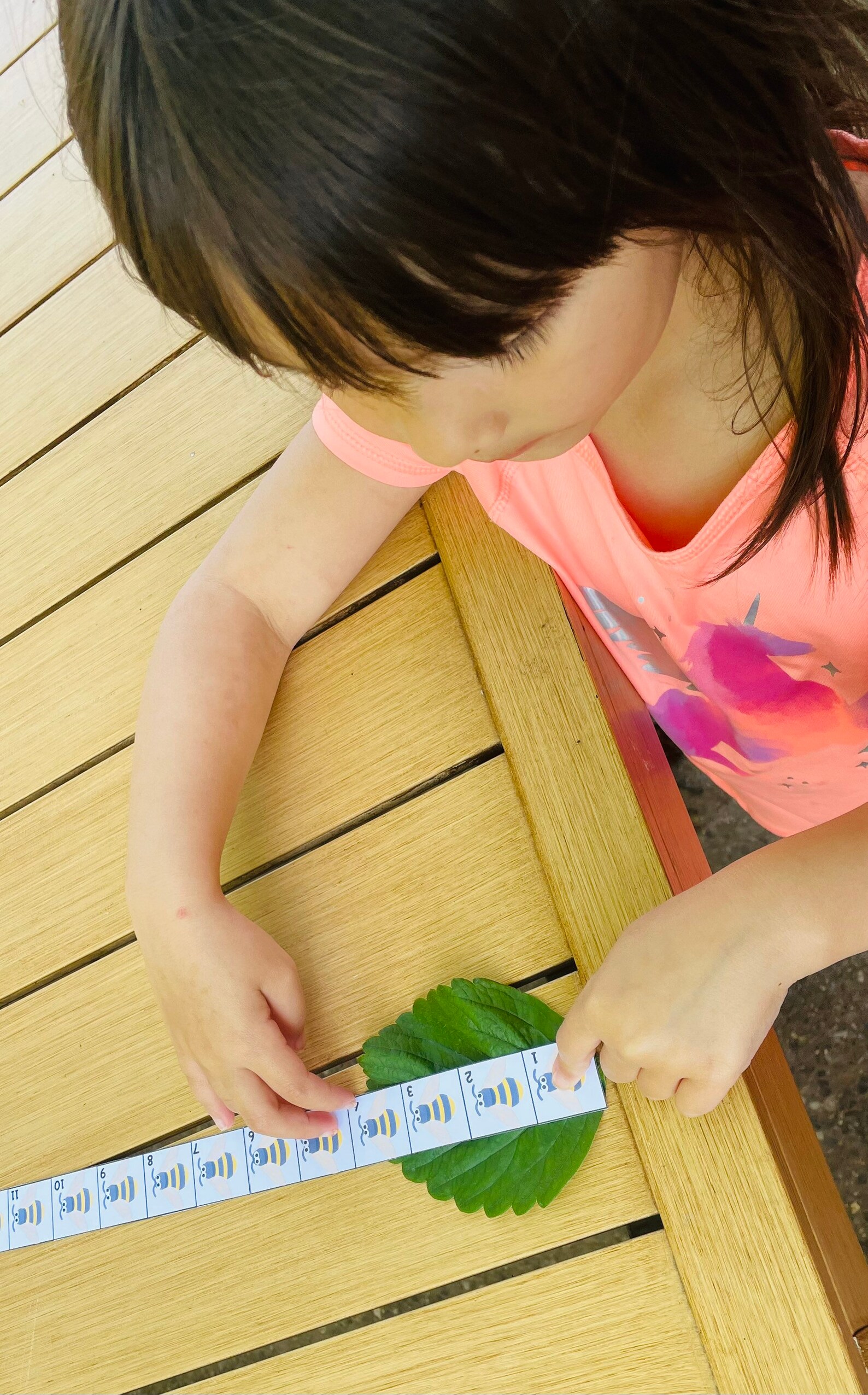 Measuring Bugs Activity Insect Measuring Activity Bugs - Etsy