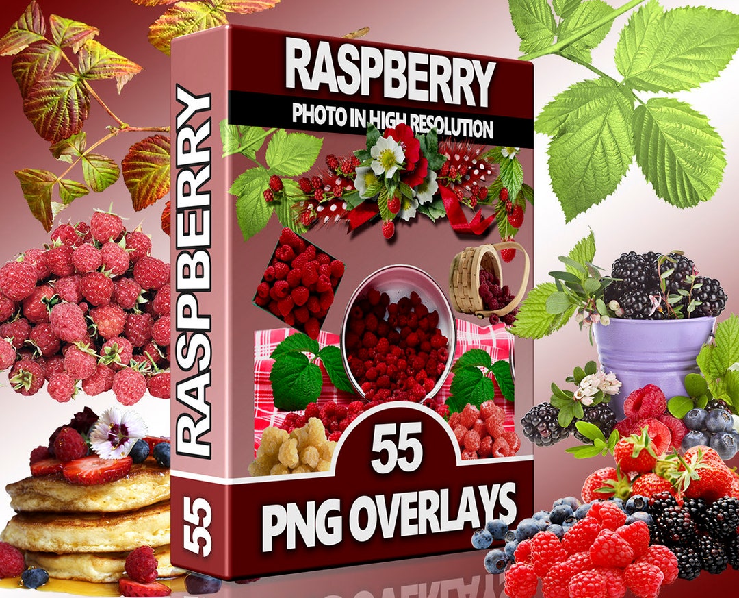 Raspberry Overlays, Berries Overlays, Fruits Transparent PNG, Digital ...