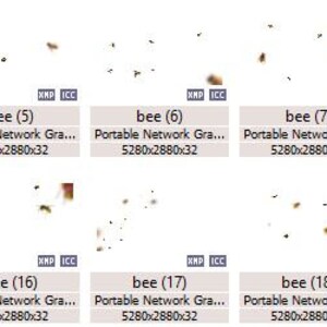 Bee Overlays, Png Bees Photo Overlays, Digital Background, Honey Bee ...