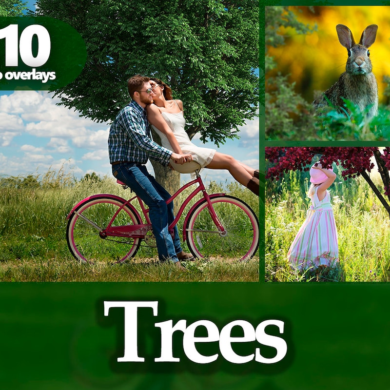 MyCreativeFarm - Etsy