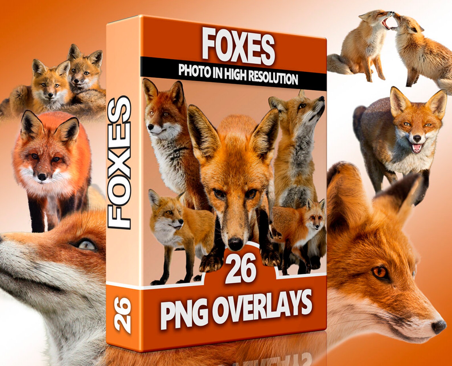 Wild Fox Overlays Animal Overlays for Photoshop PNG Photo | Etsy