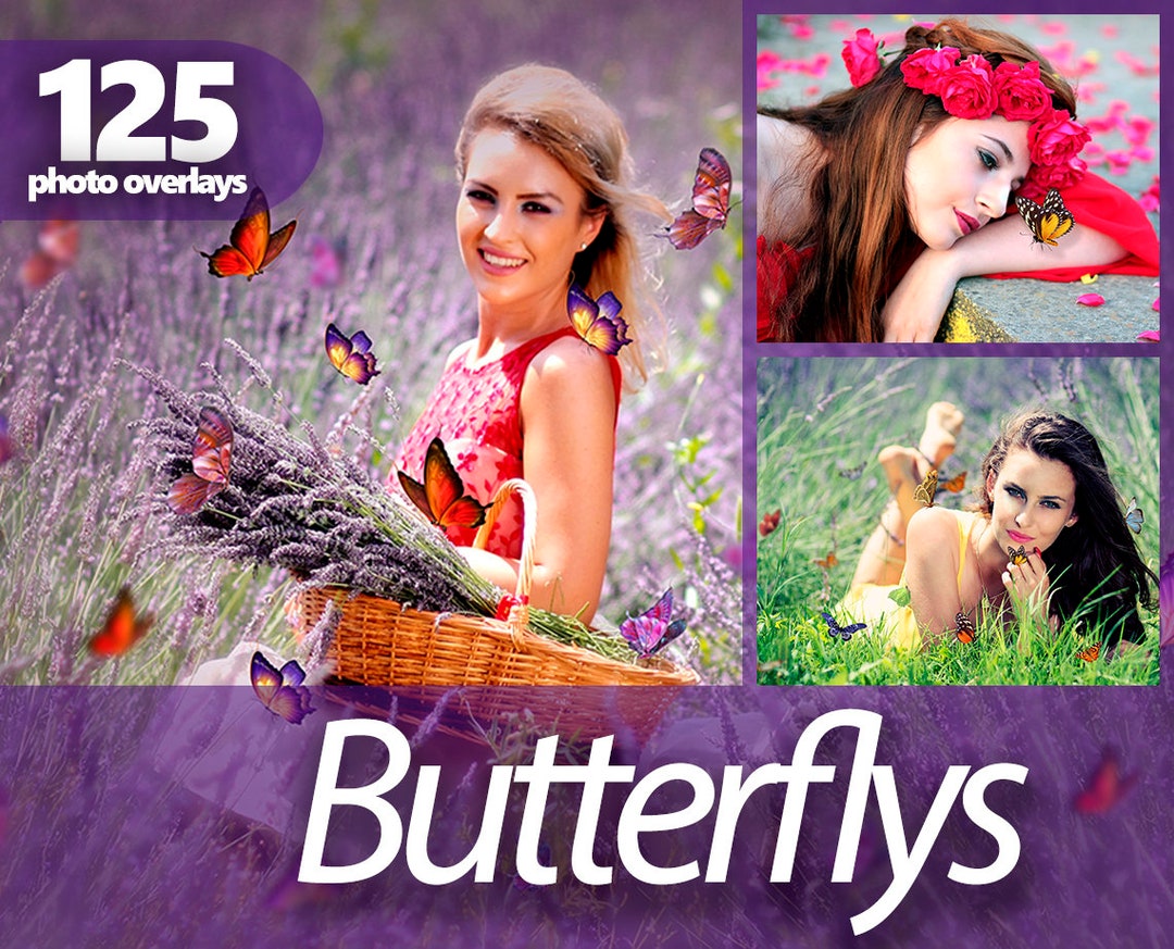 Butterfly PNG Overlays – Colorful Flying Butterflies Photo Effects for ...