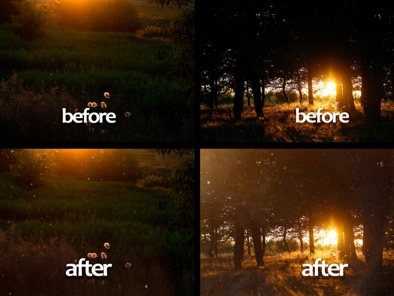 Floating Dust Overlays Falling Dust Digital Download JPG - Etsy