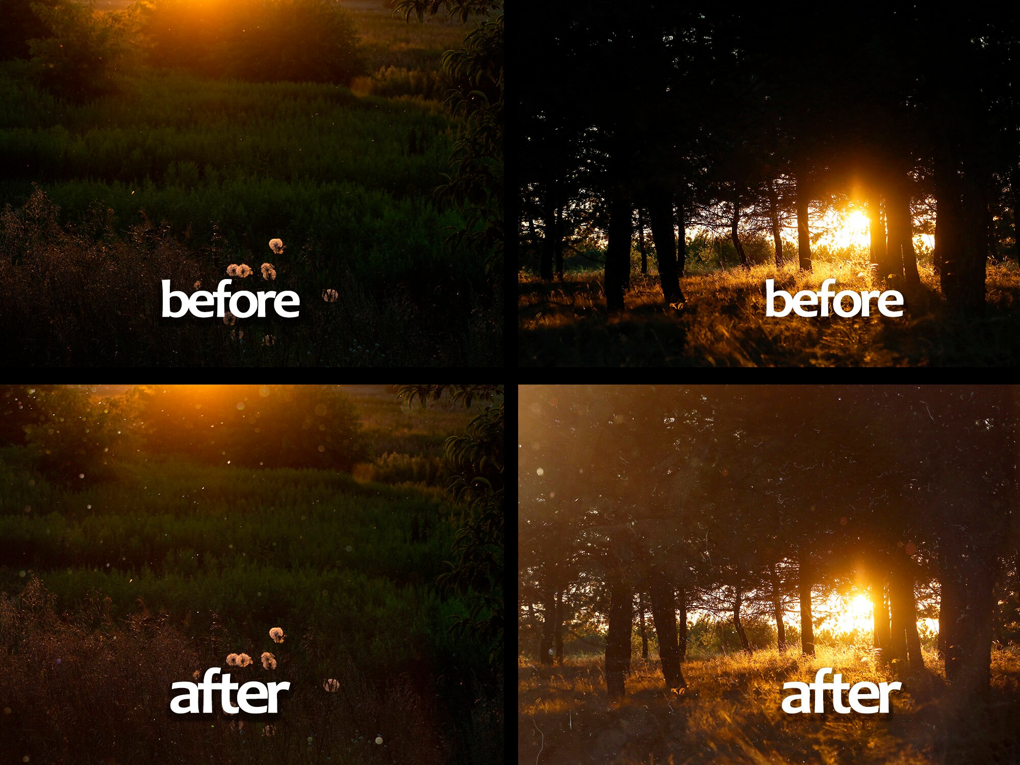 Floating Dust Overlays Falling Dust Digital Download JPG - Etsy