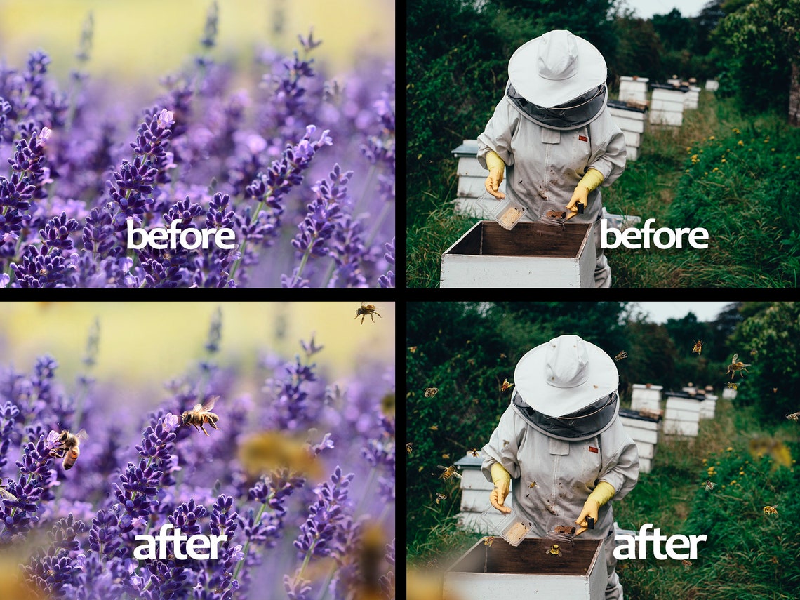 Bee Overlays Png Bees Photo Overlays Digital Background - Etsy