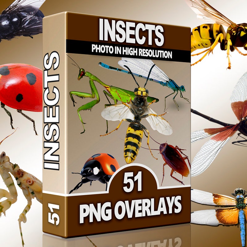 Insect Bug Overlay - Etsy