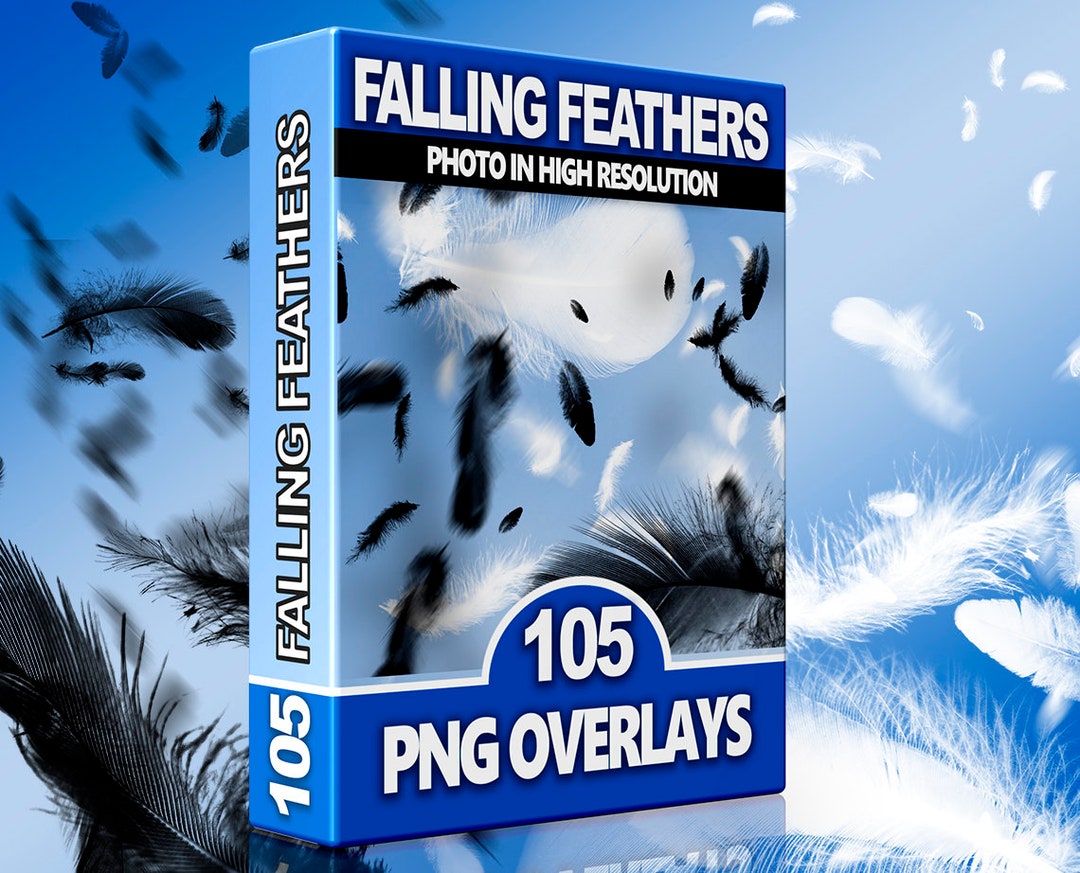 Falling Feathers Overlays, Black Feather PNG, White Feather Clipart ...