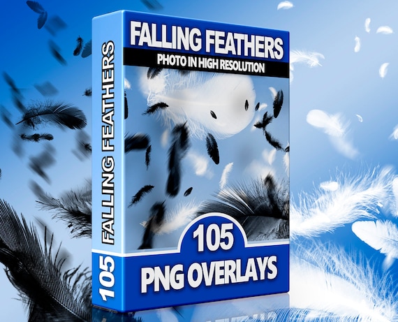 Falling Feathers Overlays Black Feather PNG White Feather - Etsy