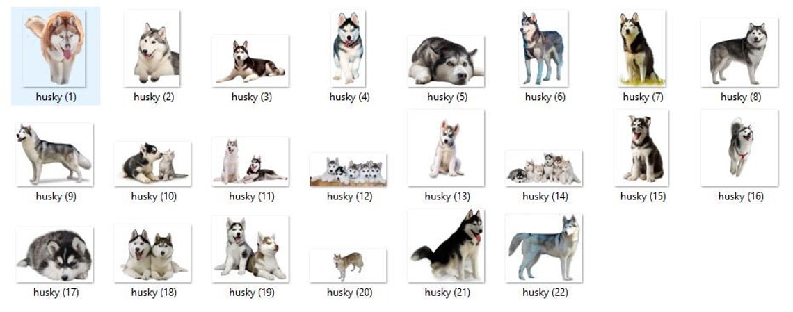 Husky Overlays Dogs PNG for Photoshop Animals Overlay Dog - Etsy