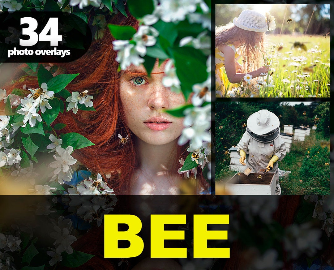 Bee Overlays, Png Bees Photo Overlays, Digital Background, Honey Bee ...