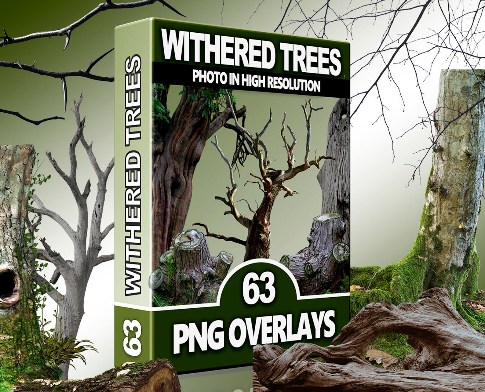 Withered Tree Overlays for Photoshop Wood Log PNG Photoshop | Etsy
