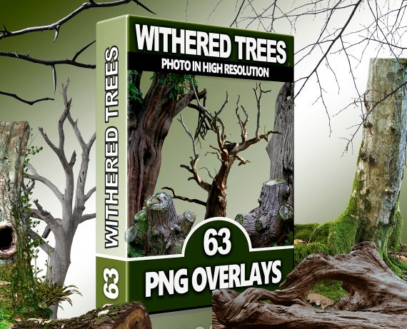 Withered Tree Overlays for Photoshop Wood Log PNG Photoshop | Etsy