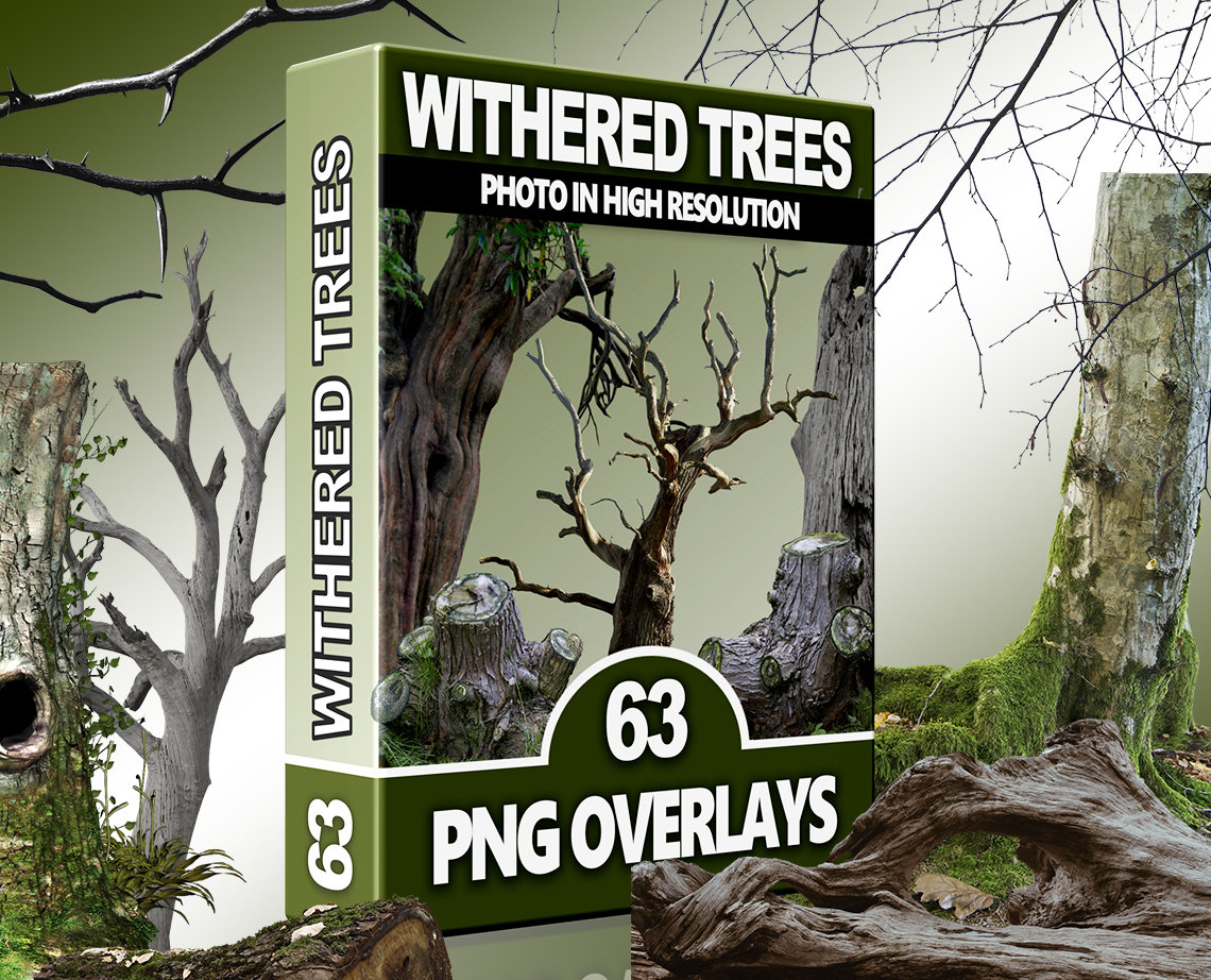 Withered Tree Overlays for Photoshop Wood Log PNG Photoshop - Etsy