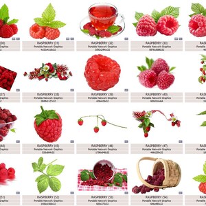 Raspberry Overlays, Berries Overlays, Fruits Transparent PNG, Digital ...