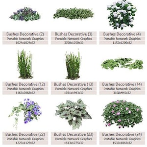 Bushes Decorative Overlay, Flowering Bushes Png, Flowers Overlay, Decor ...