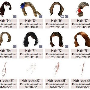 Hair Overlays, Curls Overlays, Wigs PNG, Digital Hair, Painted Hair, PNG Set, Wigs Photoshop PNG ...