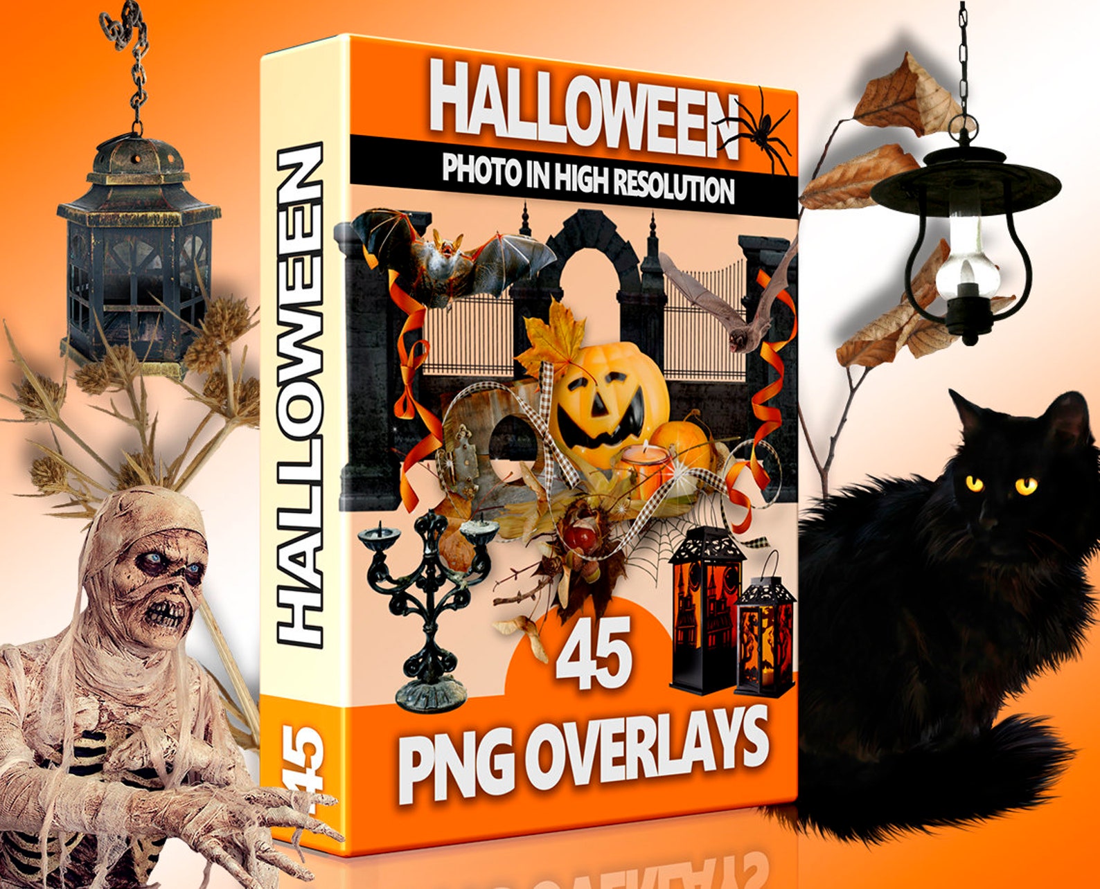 Halloween Overlays PNG Spiderweb Bats Halloween Decor | Etsy