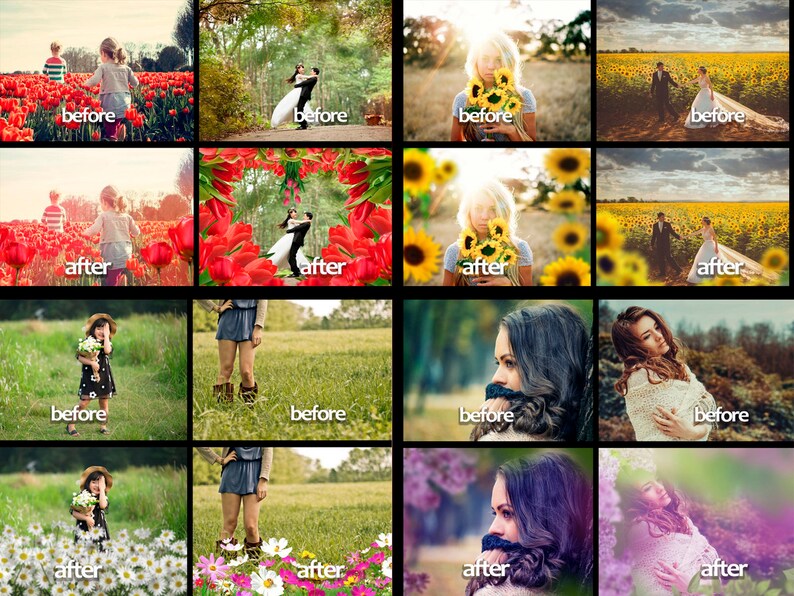 Tulips Overlays Flower Summer Spring Overlays Flowers | Etsy