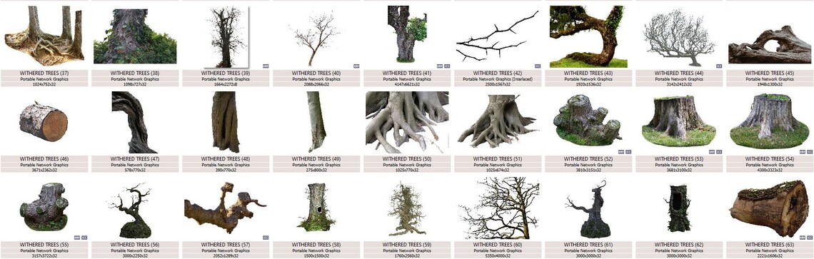 Withered Tree Overlays for Photoshop Wood Log PNG Photoshop | Etsy