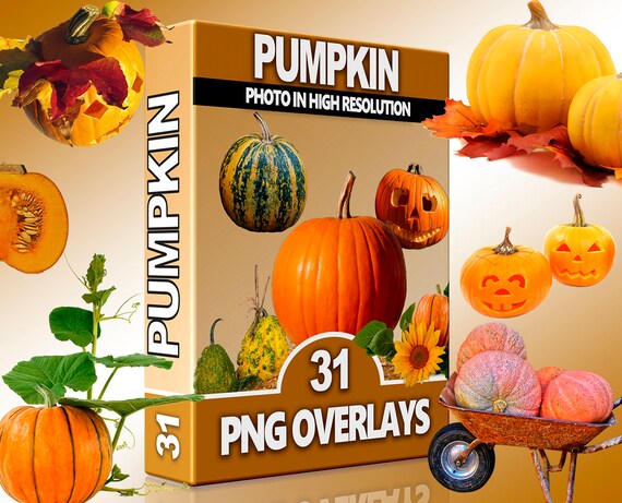 Pumpkin PNG Halloween Overlays Holiday Decor Photoshop Jack | Etsy