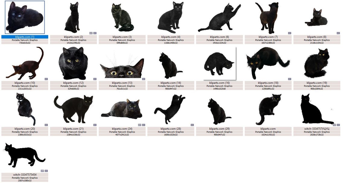 Black Cat Overlays for Photoshop, Cat PNG, Halloween Overlays, Animal ...