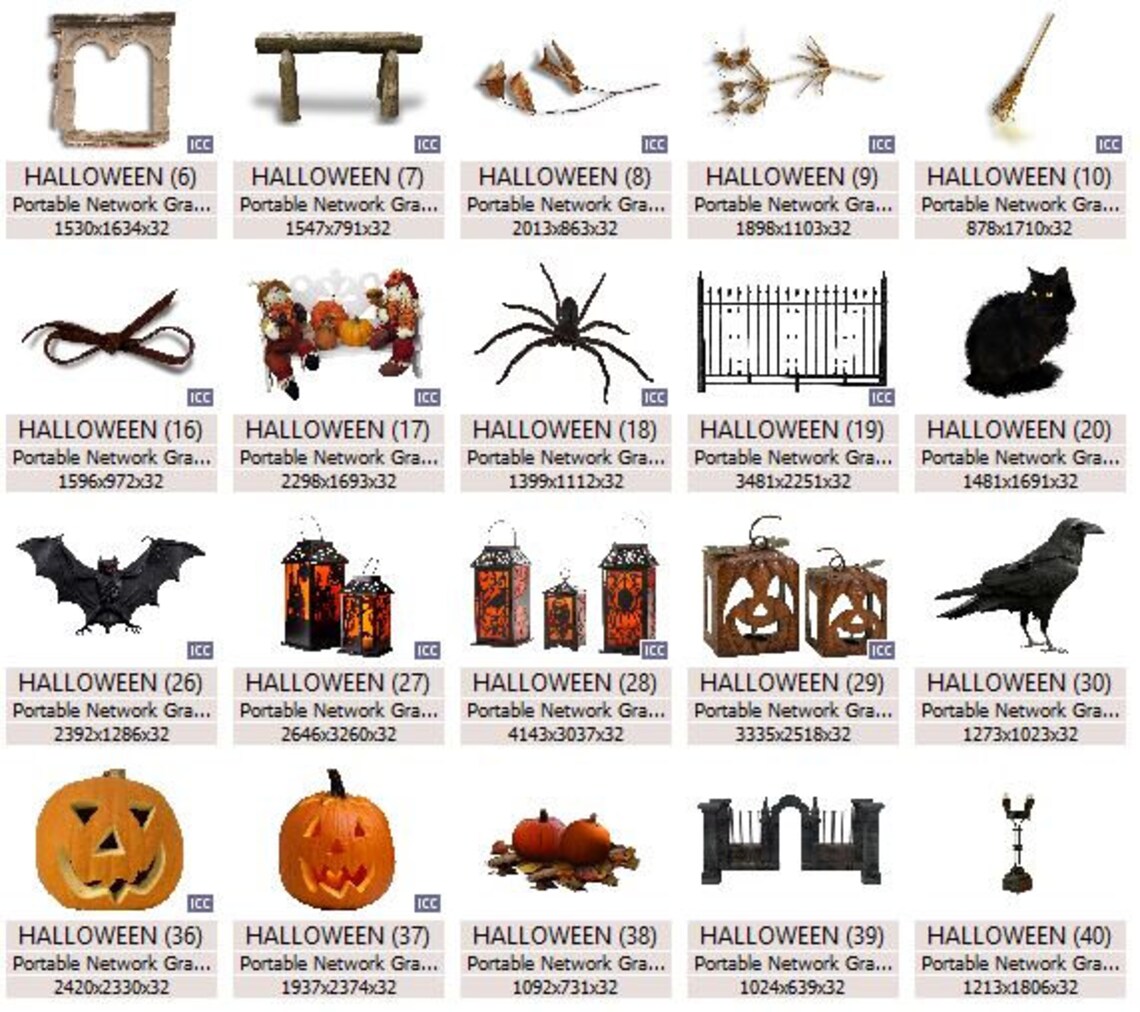 Halloween Overlays PNG Spiderweb Bats Halloween Decor - Etsy