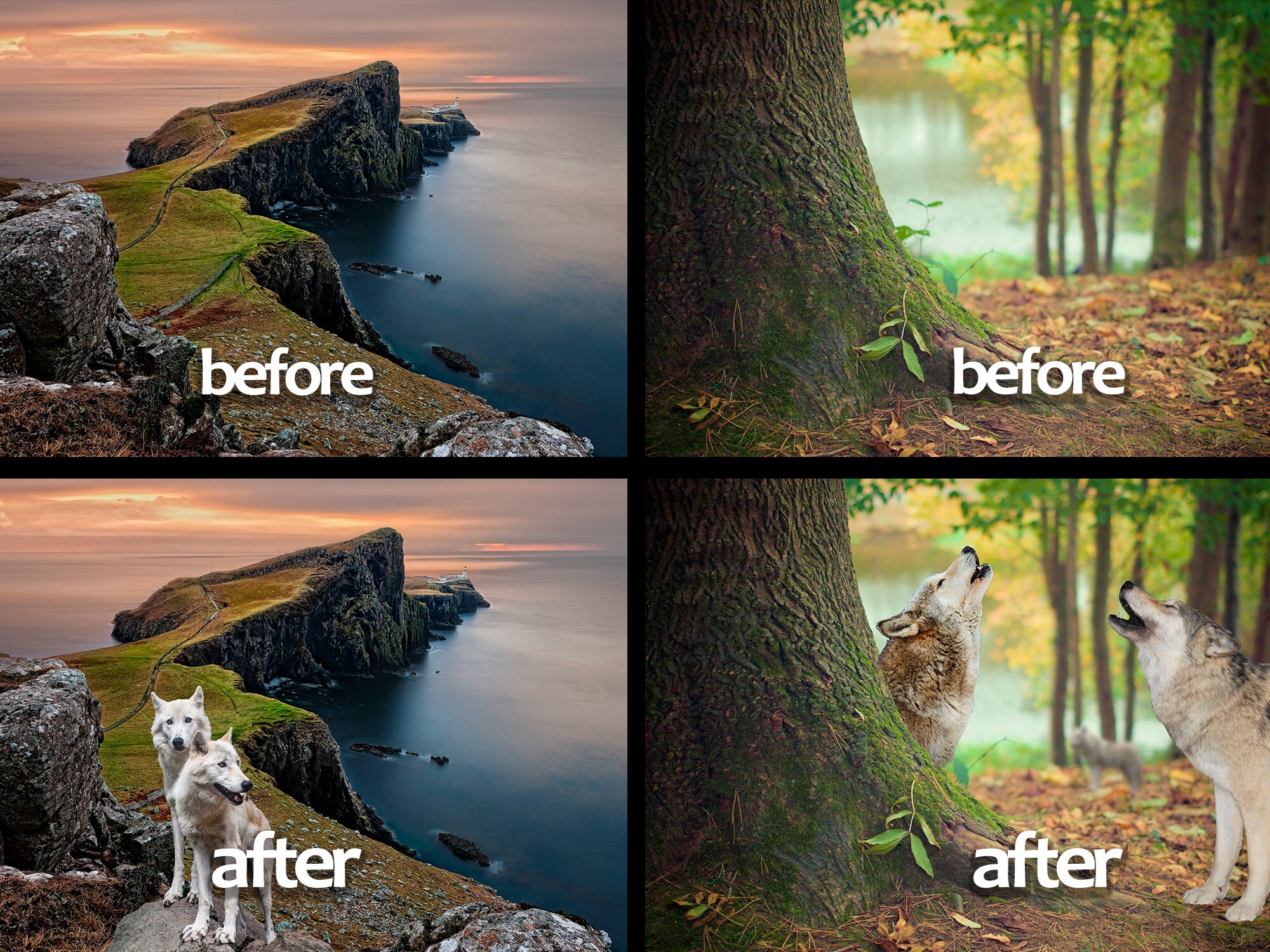 Wild Wolves overlays Animal Overlays for Photoshop PNG Photo | Etsy