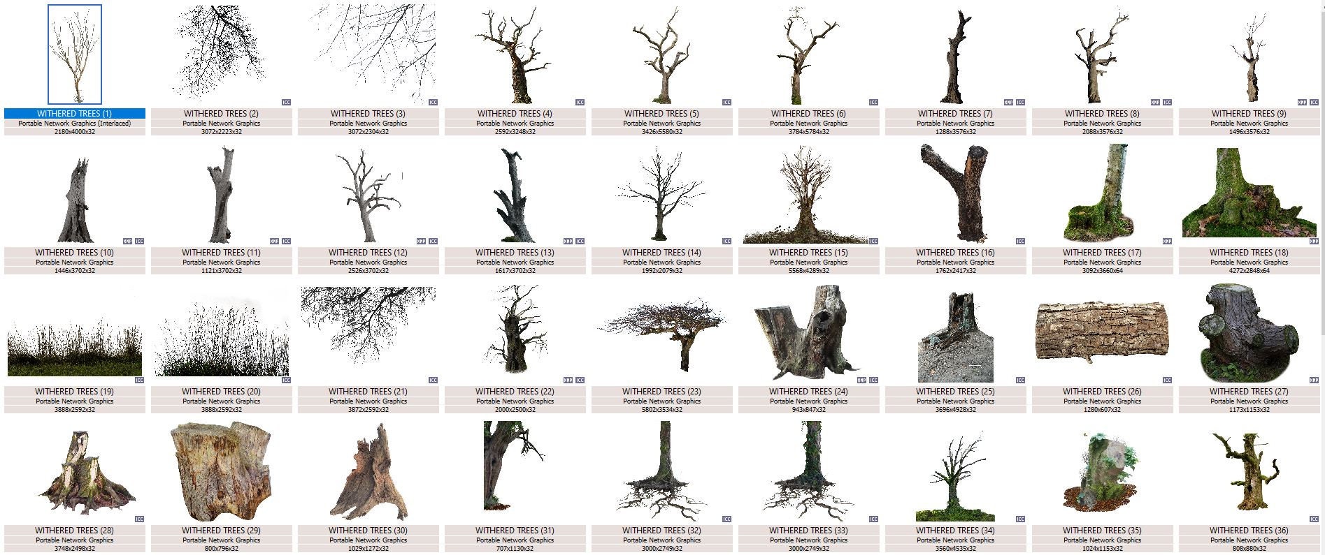 Withered Tree Overlays for Photoshop Wood Log PNG Photoshop - Etsy
