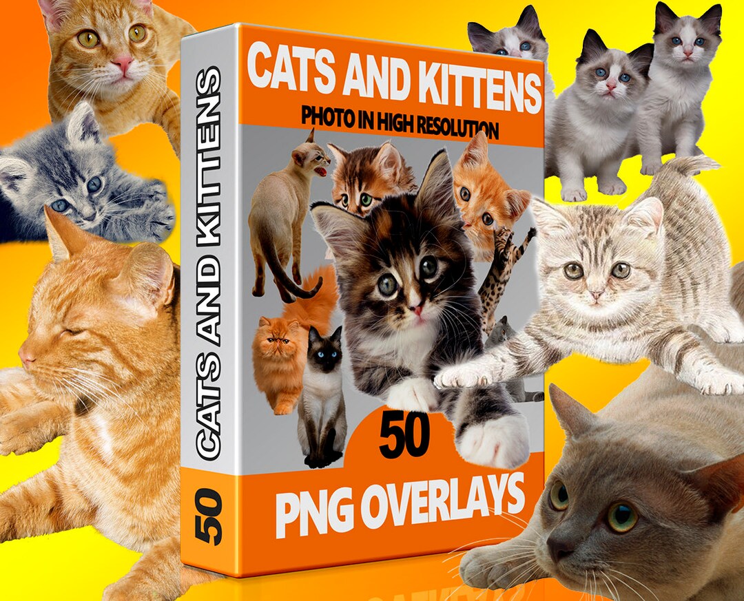 Cat Photoshop Overlays Png, Animal Overlays, Kittens Overlays, Wild ...