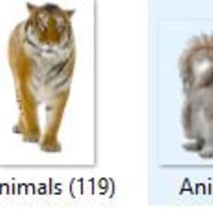 Animals Overlays, Forest Wild Animals, Wolf Overlays, Fox Overlays ...