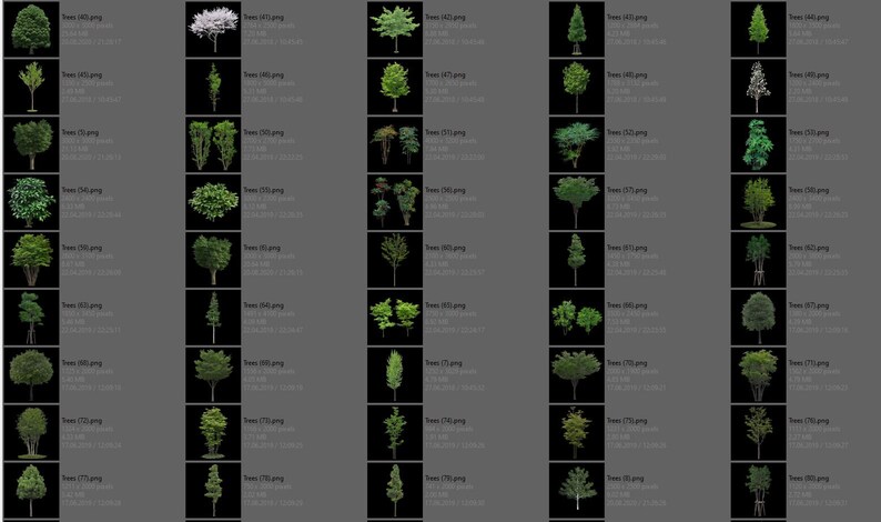 Superpositions d'arbres forestiers PNG - arbres verts, découpes de bois ...