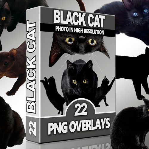 Black Cat Overlays for Photoshop Cat PNG Halloween Overlays - Etsy