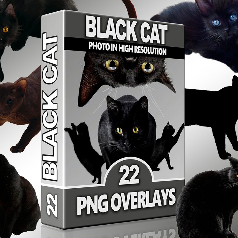 Animal Overlays - Etsy