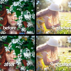 Bee Overlays, Png Bees Photo Overlays, Digital Background, Honey Bee ...