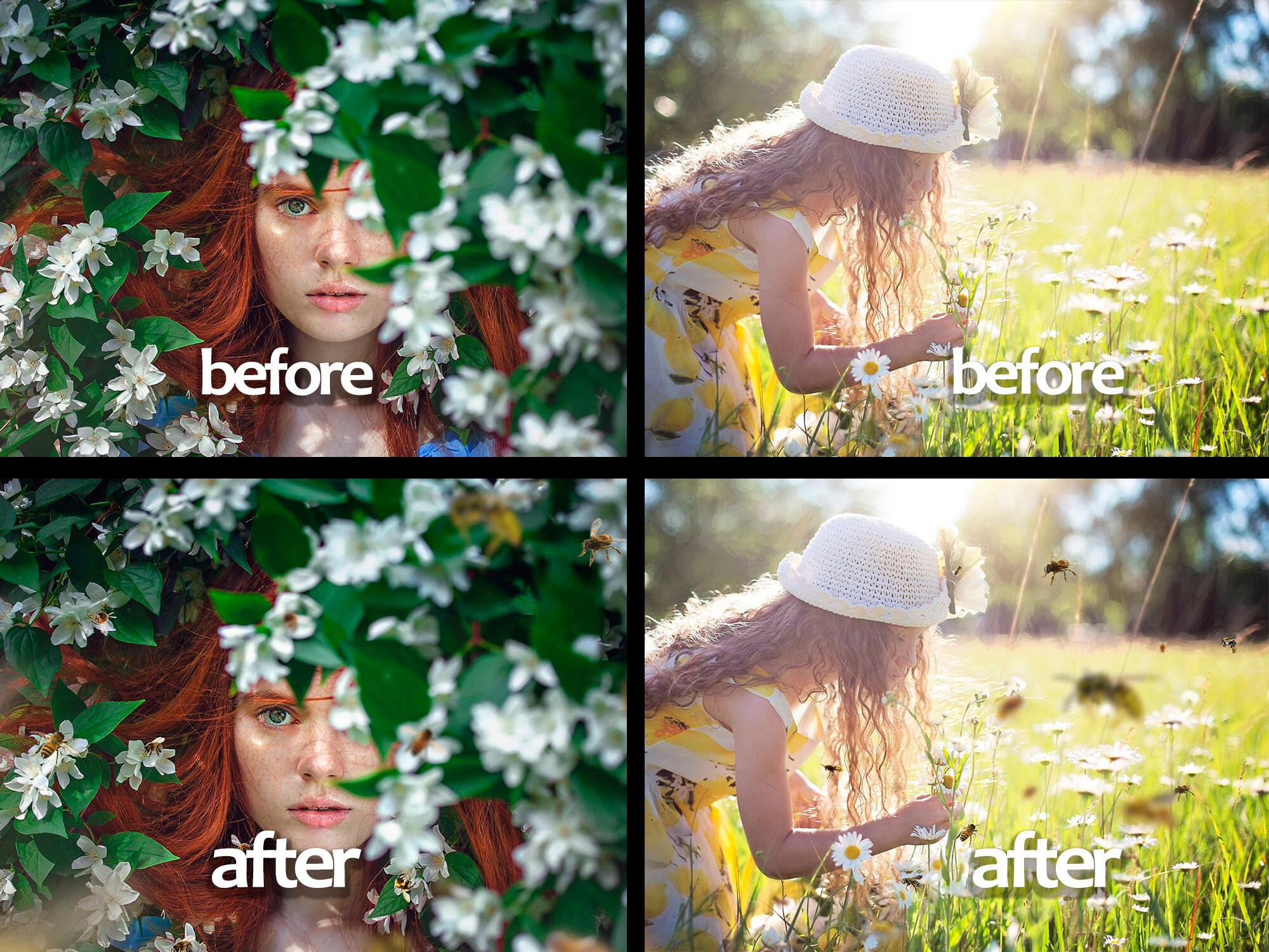 Bee Overlays Png Bees Photo Overlays Digital Background - Etsy