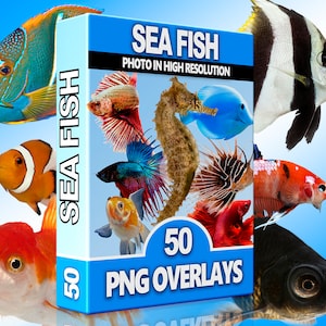 Fish Overlays, Sea Creature, Sea Fish Clipart, Photo Overlay, Photoshop ...