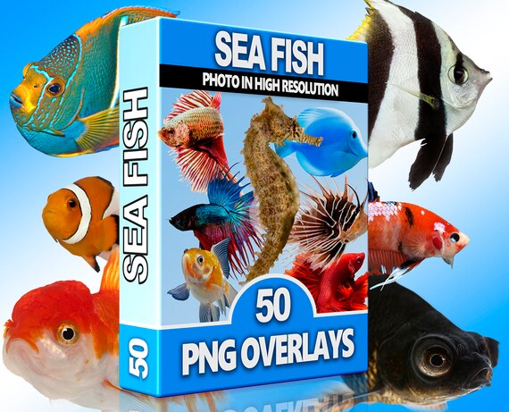 Fish Overlays Sea Creature Sea Fish Clipart Photo Overlay - Etsy UK