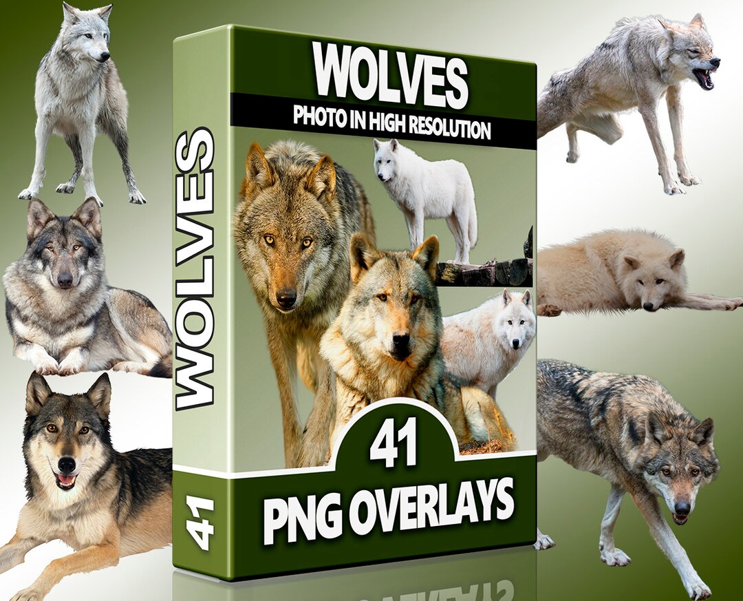Wolf PNG Overlays – Wild Wolves Clipart, Realistic Animals for ...