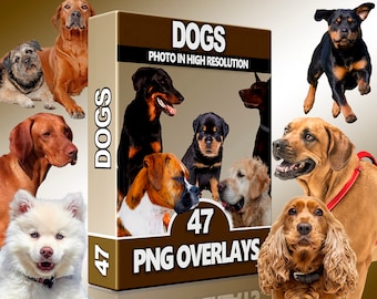 Husky Overlays Dogs PNG for Photoshop Animals Overlay Dog - Etsy