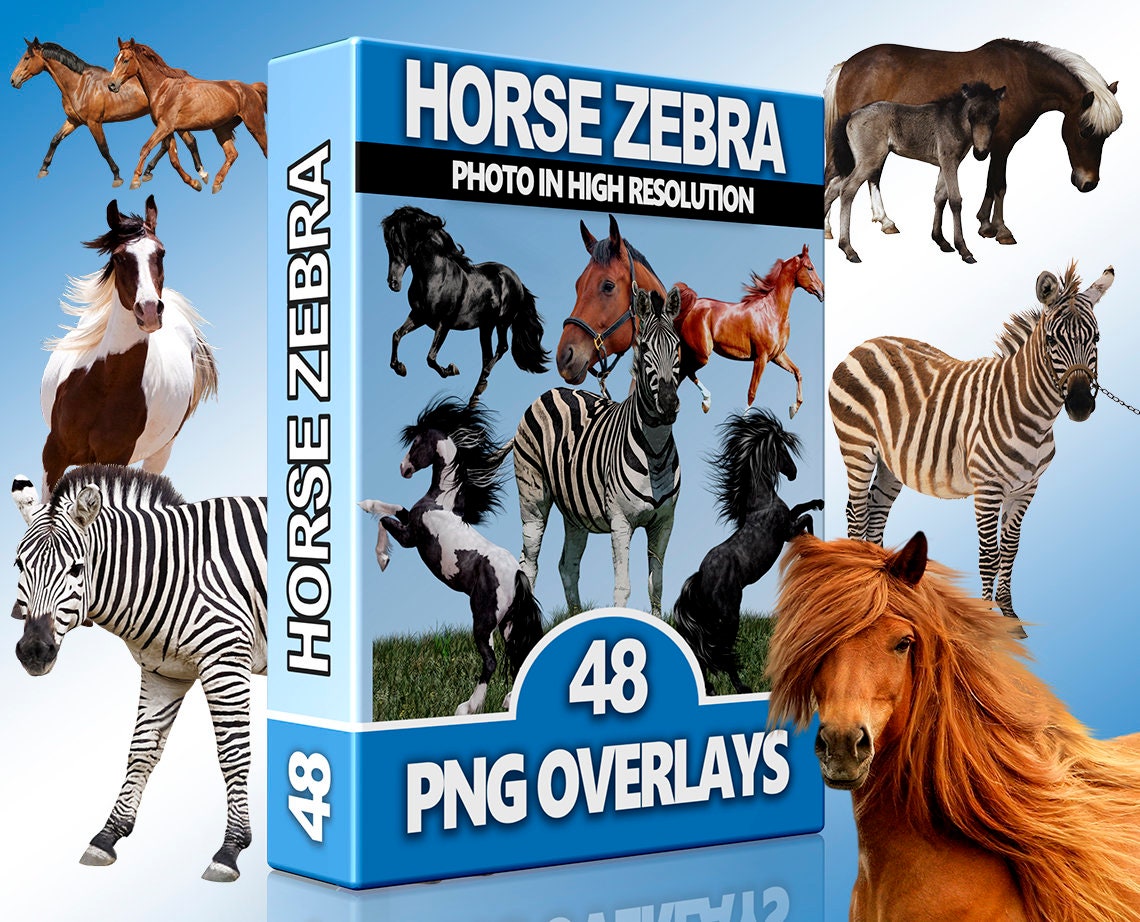 Horse Overlay Zebra Clipart Pony PNG Animal Overlays for - Etsy Canada