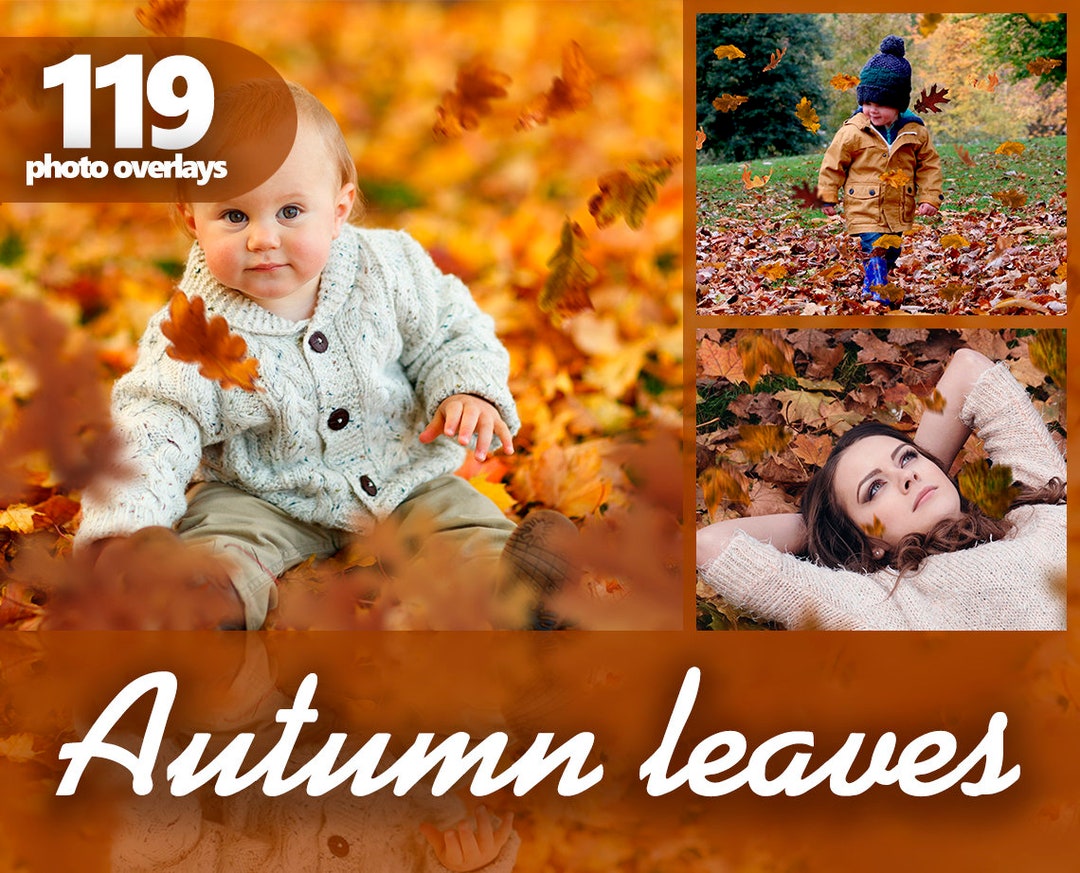 Falling Leaves Photo Overlays, Autumn Overlays PNG, Fall Overlays ...