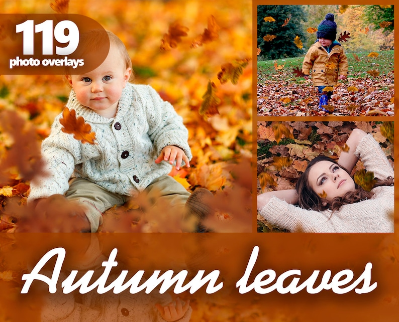Falling Leaves Photo Overlays Autumn Overlays PNG Fall | Etsy