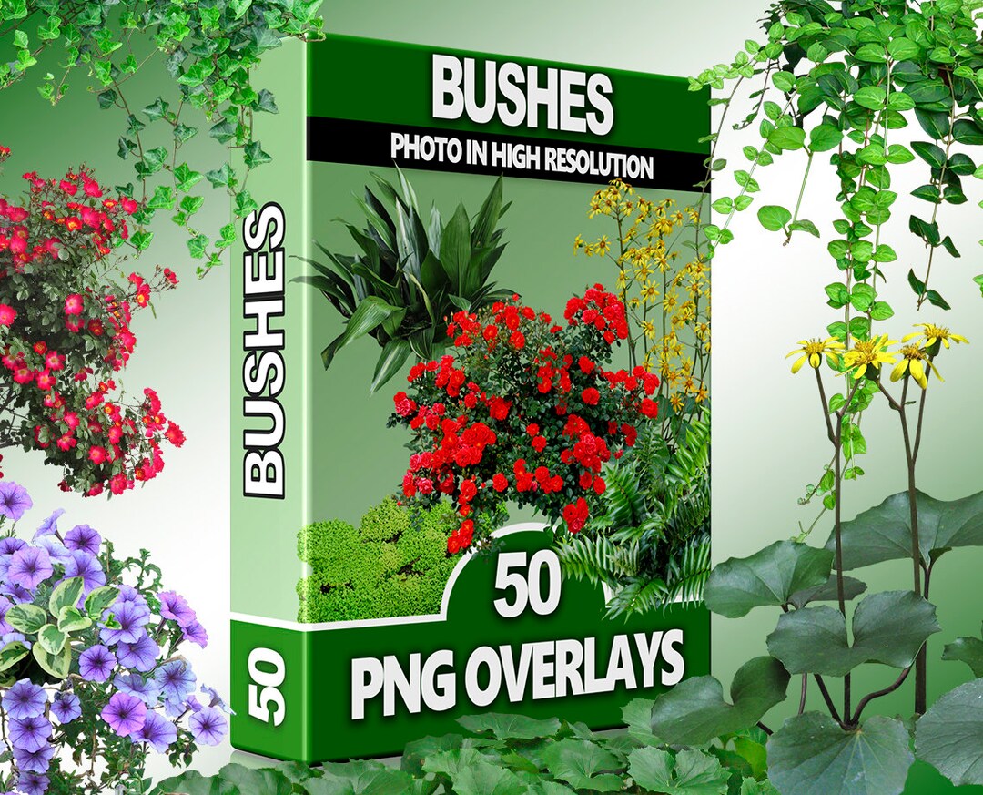Bushes Decorative Overlay, Flowering Bushes Png, Flowers Overlay, Decor ...