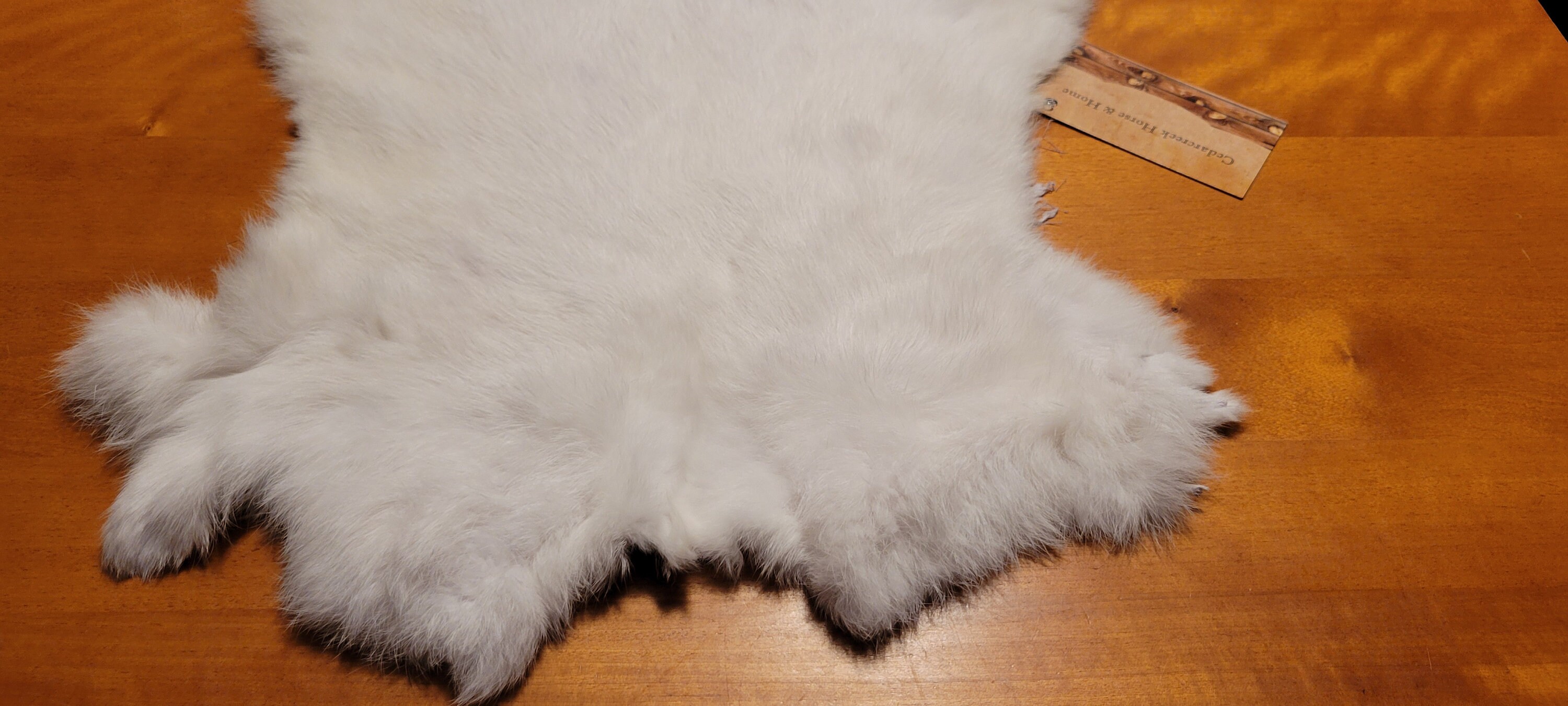 White Rabbit Pelt - Etsy