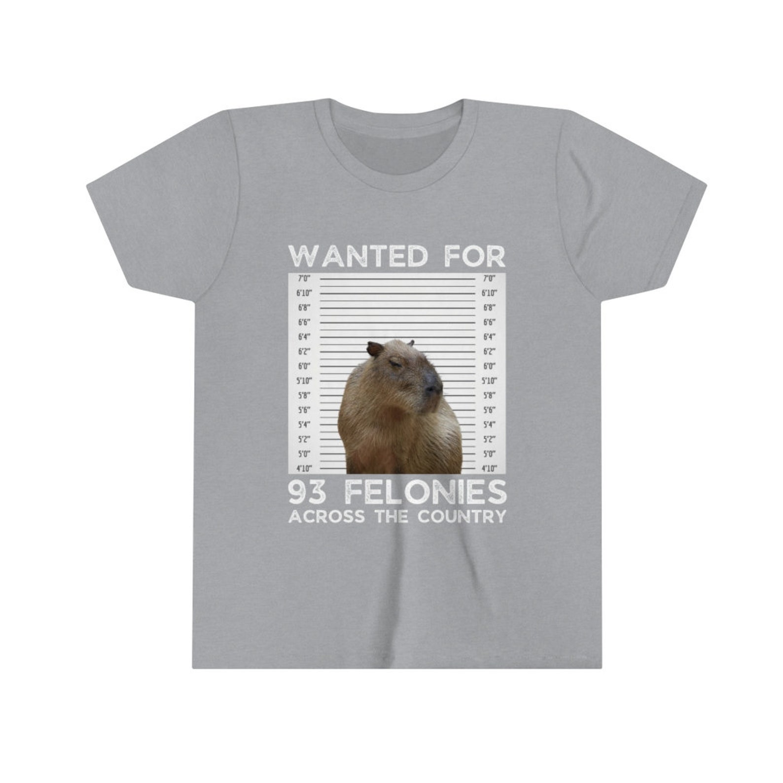 Youth Capybara Mugshot Wanted Poster Meme Capybara Cometiendo - Etsy México