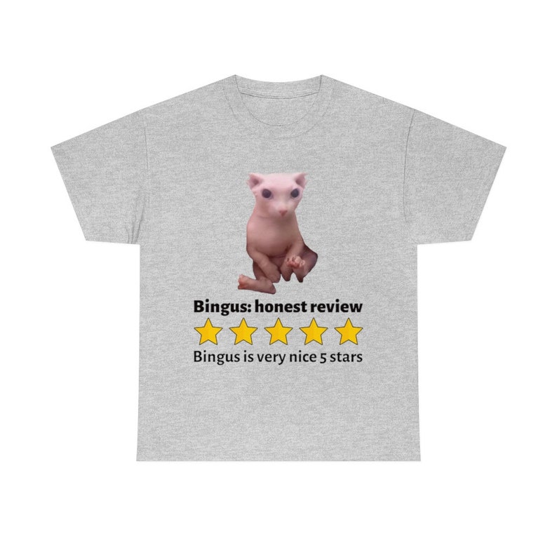 Bingus Sphynx Hairless Cat Meme Rating Bingus Small Cat Meme - Etsy Bingus Sphynx Hairless Cat Meme Rating Bingus Small Cat Meme - Etsy